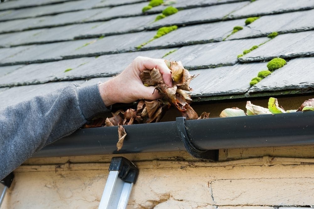 Protect Your Roof & Attic from Mold Growth in Toronto