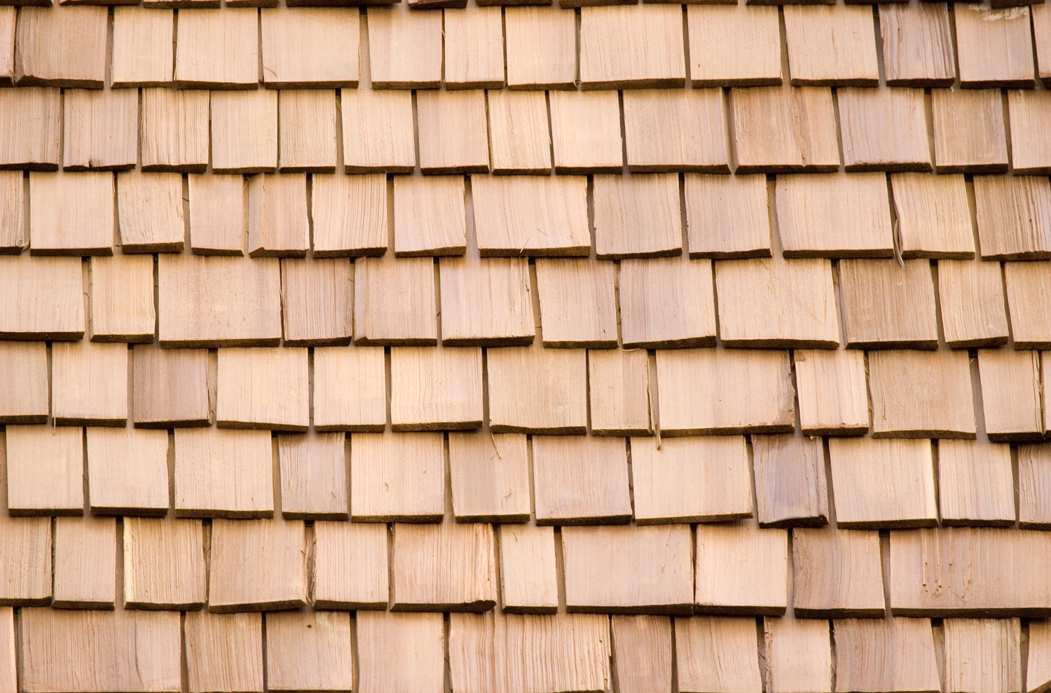 4 Tips for Maintaining a Cedar Roof | Chouinard Bros. Roofing Services